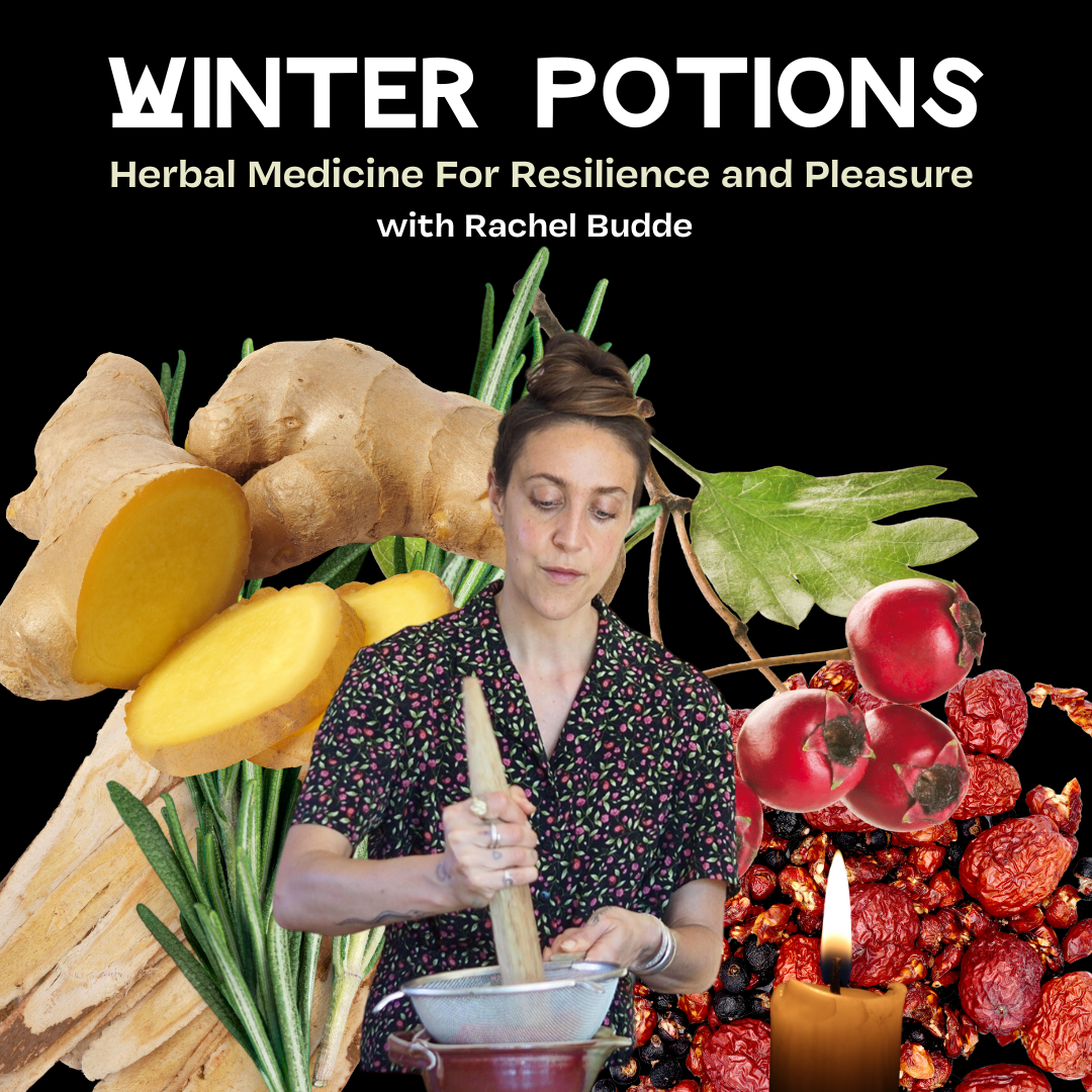 Class: Winter Potions – Fat and the Moon